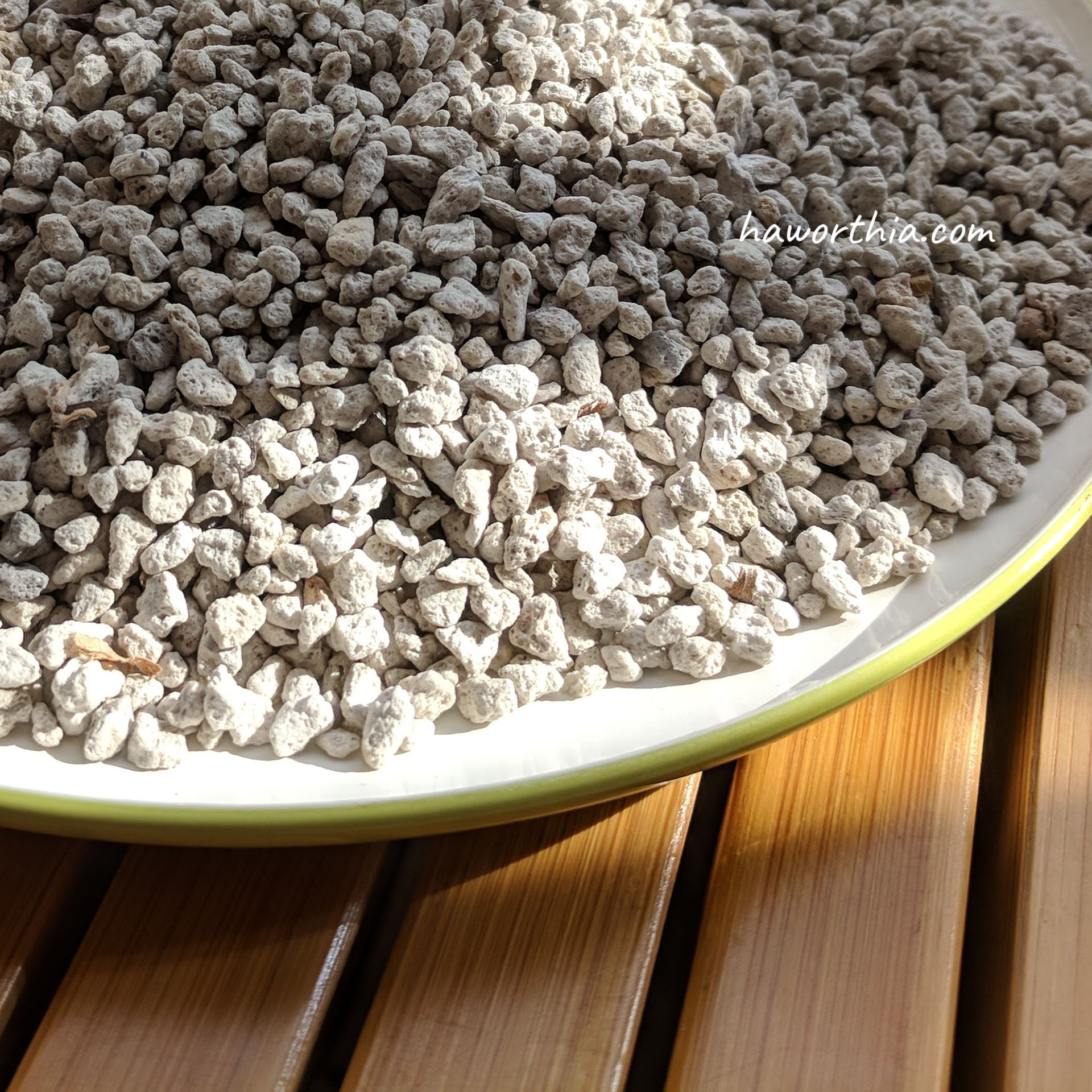 Growing Medium (Soil) - The Genus Haworthia